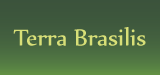 Novedad Bibliográfica. Terra Brasilis # 11: Mapas e mapeamentos ...